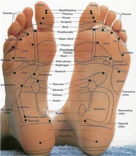Get your Diploma in Reflexology | Natural Medicine College